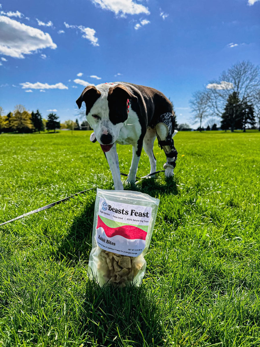 Freeze Dried Rabbit – Beasts Feast