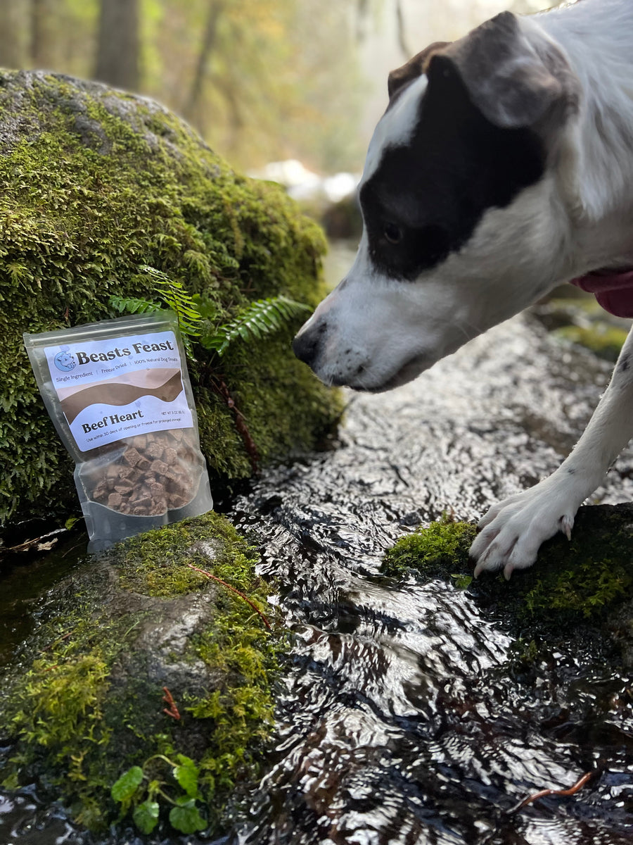 Beef Heart - Freeze Dried – Beasts Feast